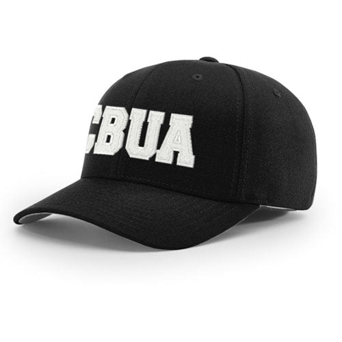 College Baseball Association & Conference Hats – Purchase Officials ...